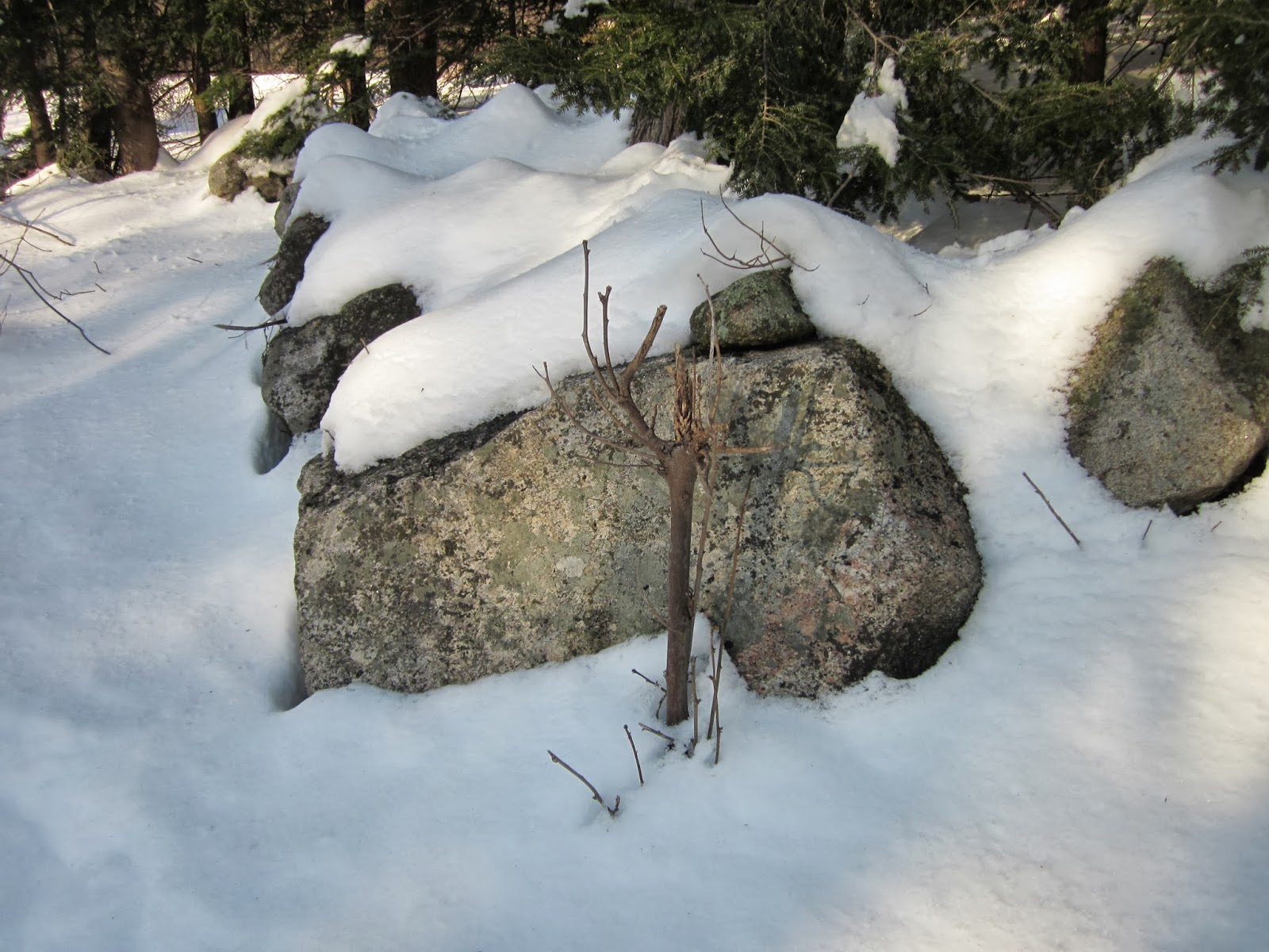 Rock Piles: More Stones in Snow