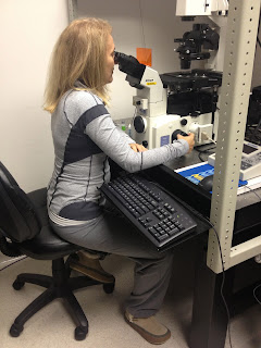 USC Psychology Graduate Student Association: Faculty Highlight- Dr ...