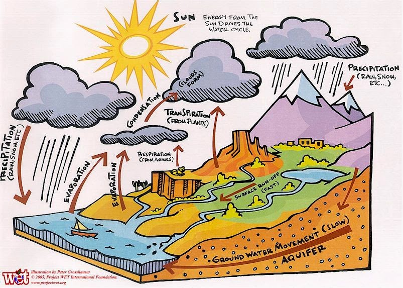 Earth Science: Water Cycle