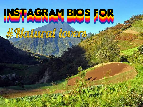 100+ best Instagram Bio Ideas about Nature, Love & Attitude