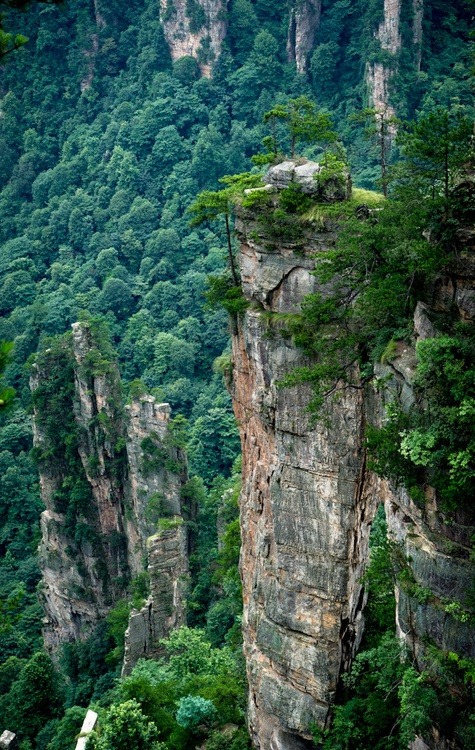 Pilkunvartija: Rock Spires, Hunan, China