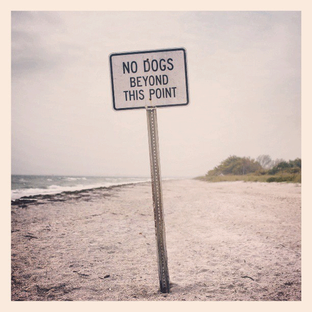 JRsGIFs: No Dogs Allowed