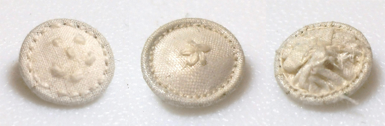 Searching for Dorset Buttons