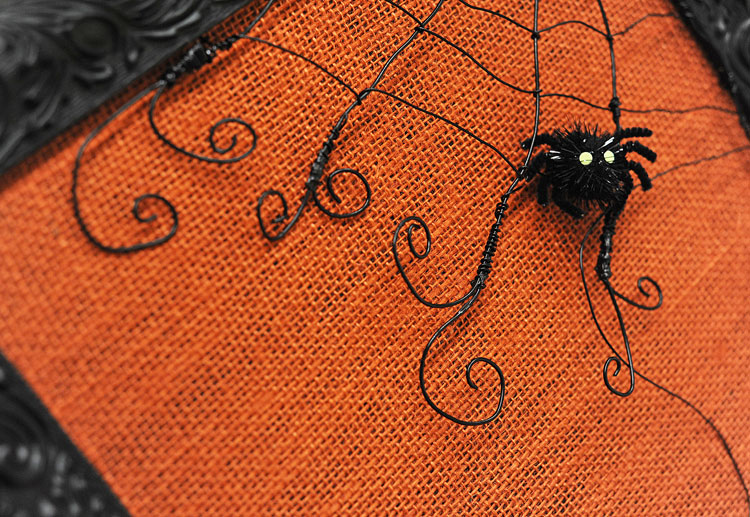 Ben Franklin Crafts and Frame Shop: Spider Web Frame