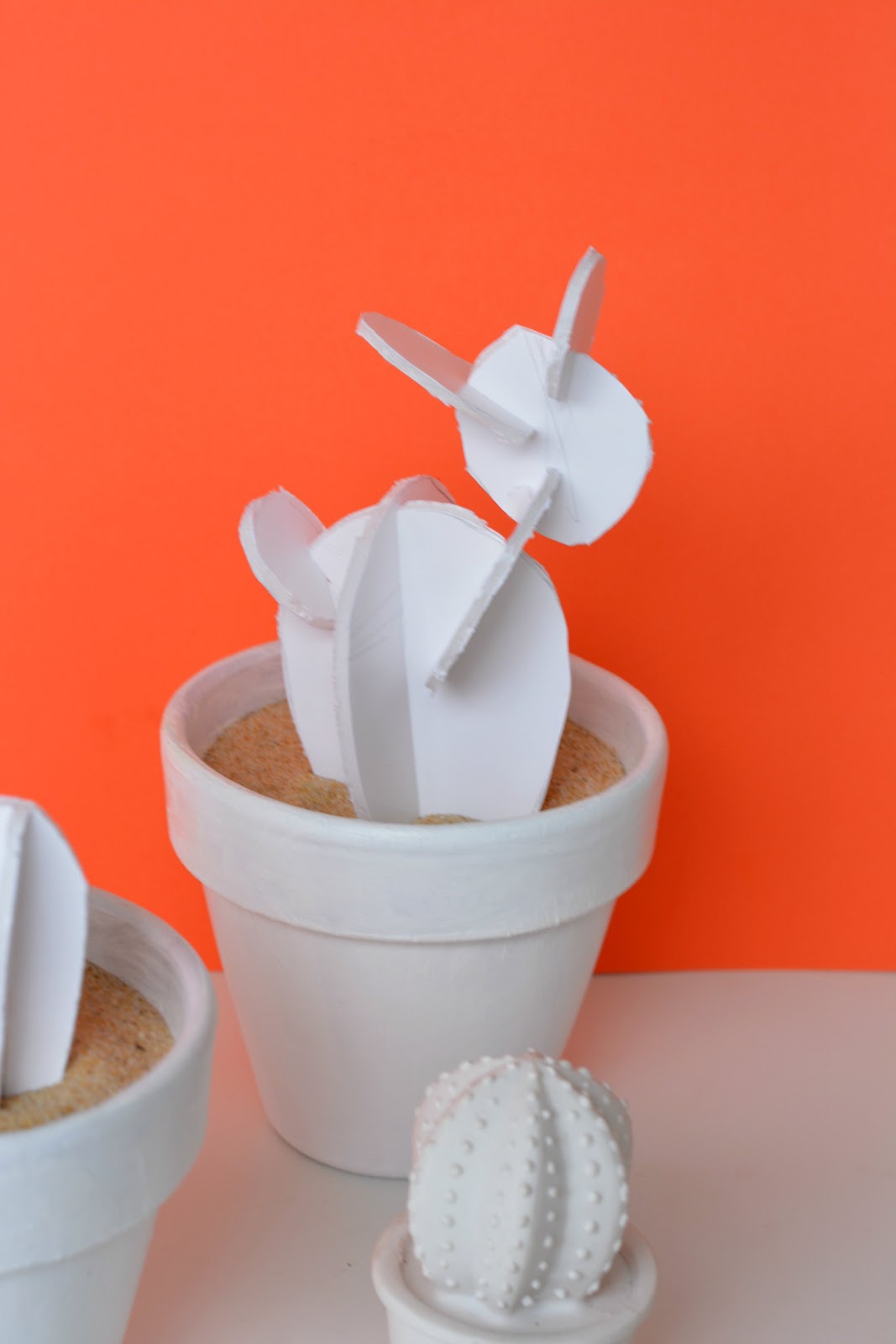 DIY Cactus en carton / Autour de Cia