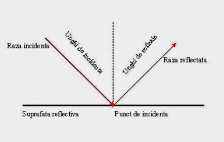 Totul Despre Fizica!