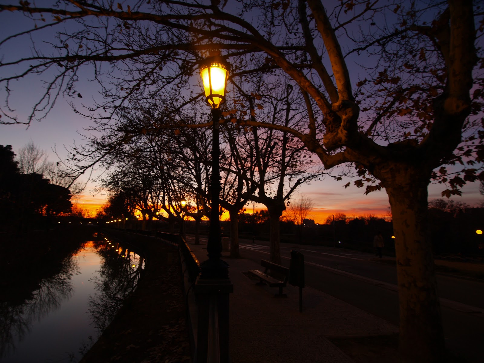 Atardecer en el Parque Grande