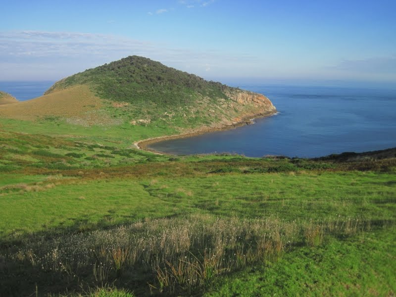Kayaks across Bass Strait: Erith Island