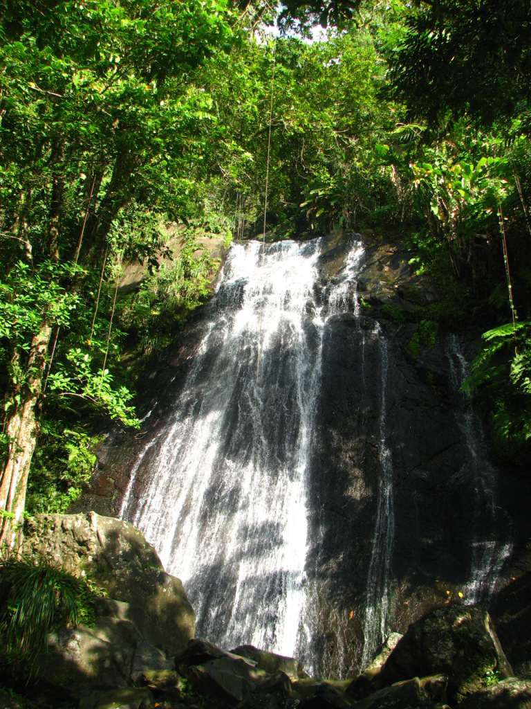 Phoebettmh Travel: (Puerto Rico) – A journey to El Yunque tropical ...