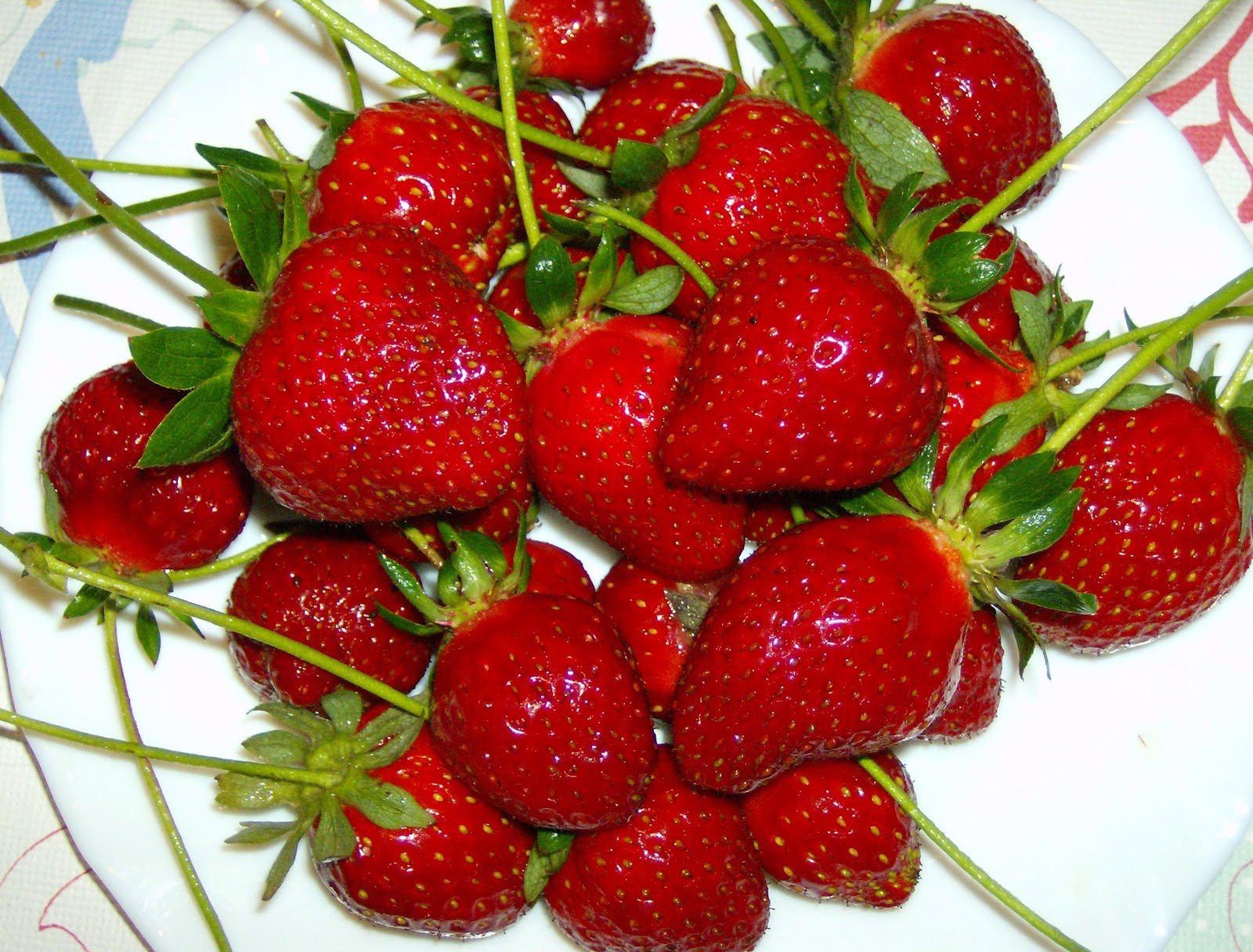 ARTE Y JARDINERÍA : FRESÓN (fresa de jardín). Fragaria x ananassa