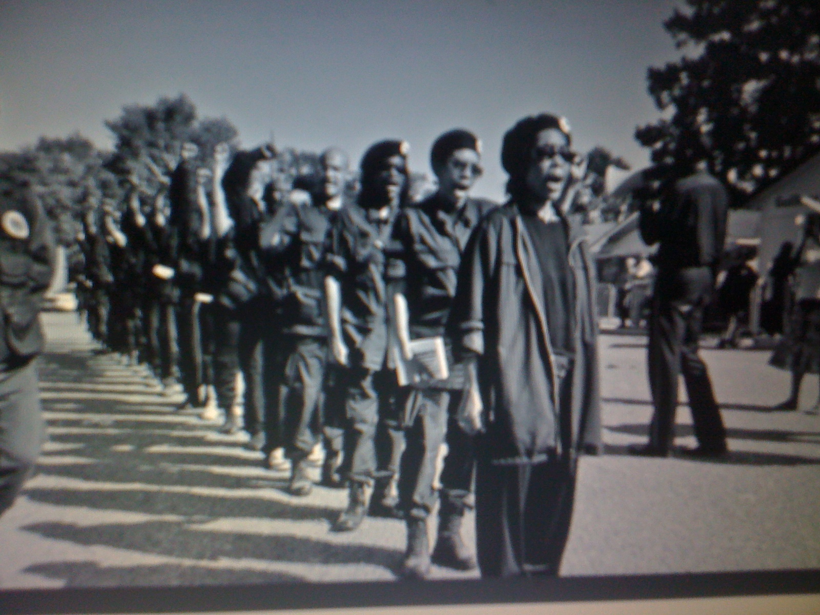 THE BLACK SOCIAL HISTORY:: BLACK SOCIAL HISTORY : THE BLACK PANTHER PARTY