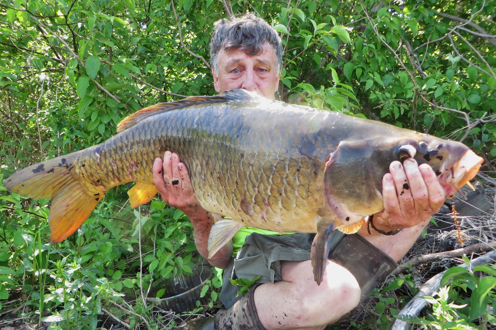 Rhode Island Carp Fishing: 2020
