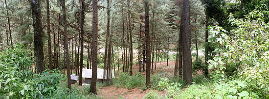 Sri Lanka Walk: Galaha: A Day's Sightseeing.