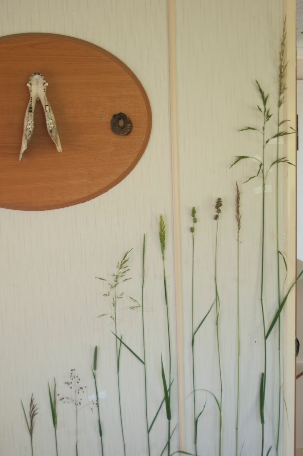 Molio vaikai: Smilgos. Smilgos? O taip...