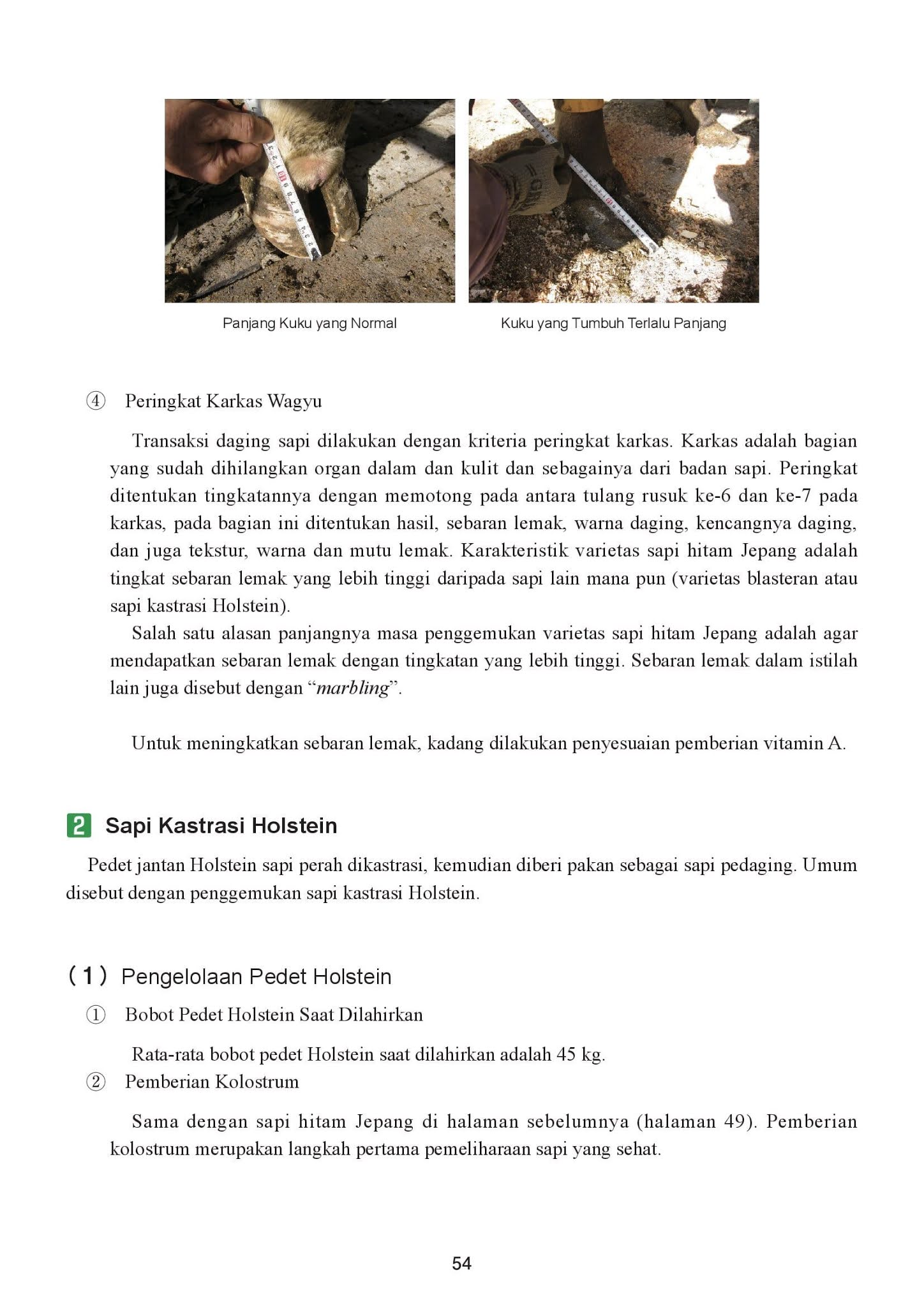 PETERNAKAN BAHASA INDONESIA