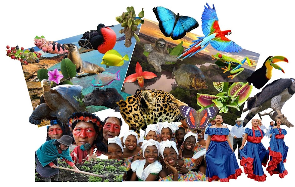 Ecuador Y Su Diversidad Ecuador Y Su Diversidad Images And Photos Finder
