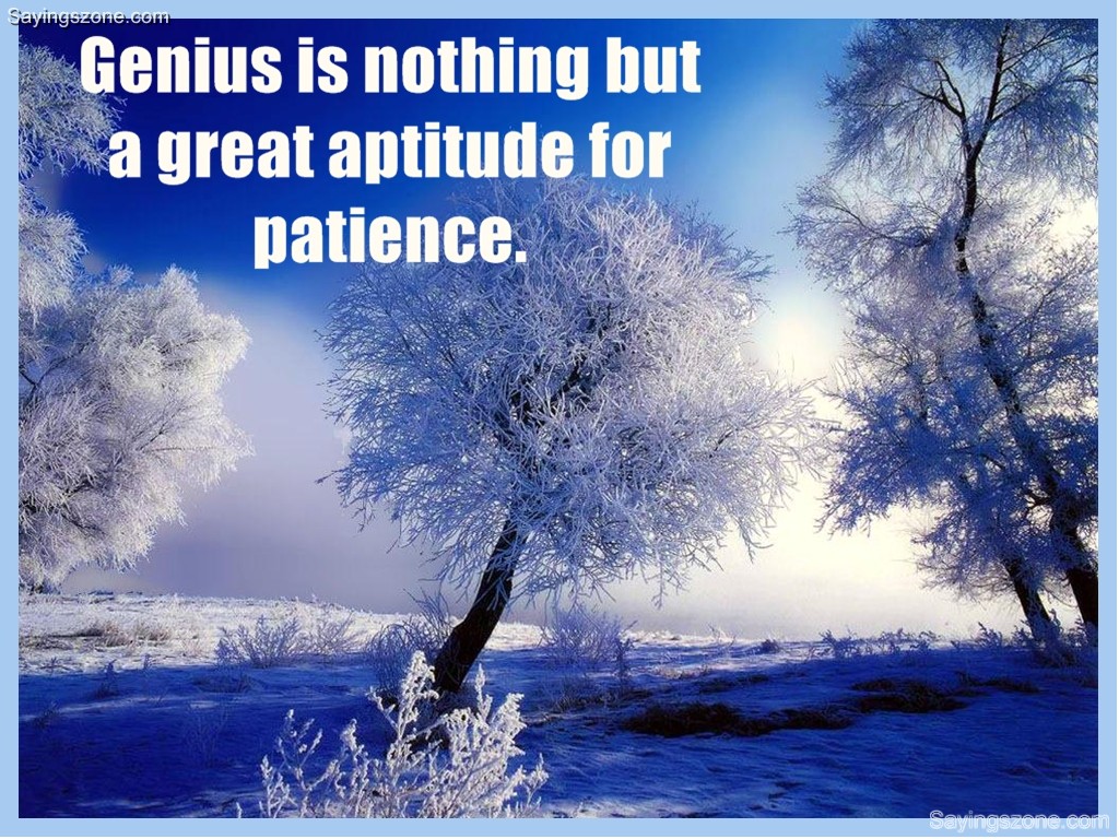 Patience Funny Quotes. QuotesGram