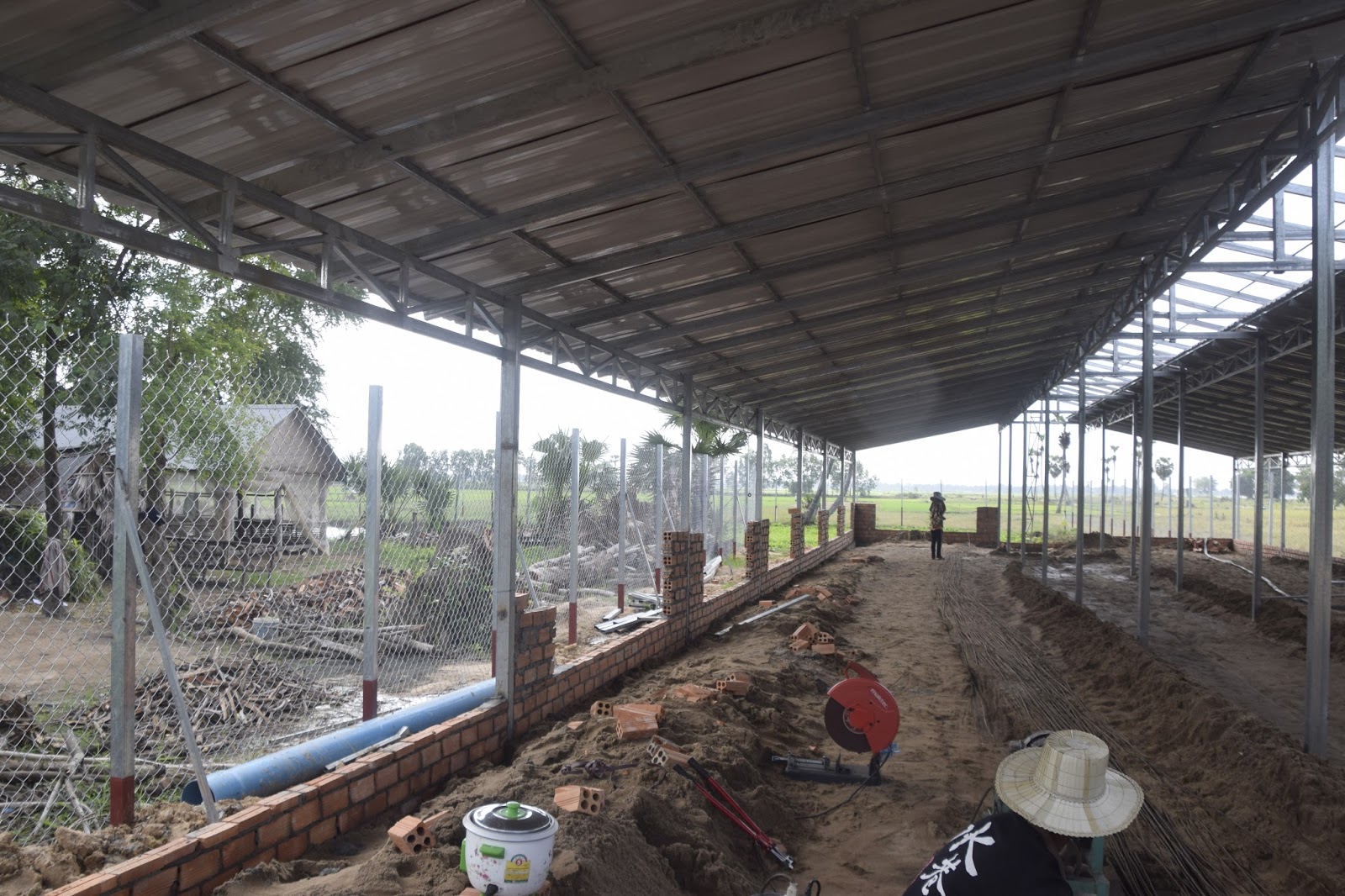 Sambo's Farming កសិដ្ធានសំបូរ-vườn Trại Sambo