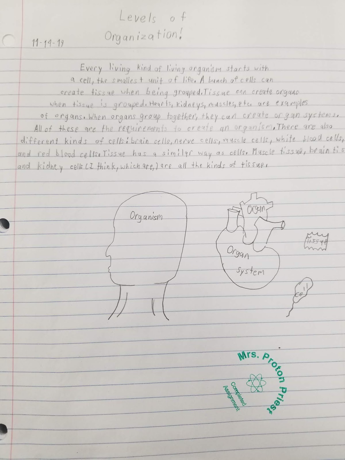 Student Output Samples from the Middle School Science Classroom | Polka ...