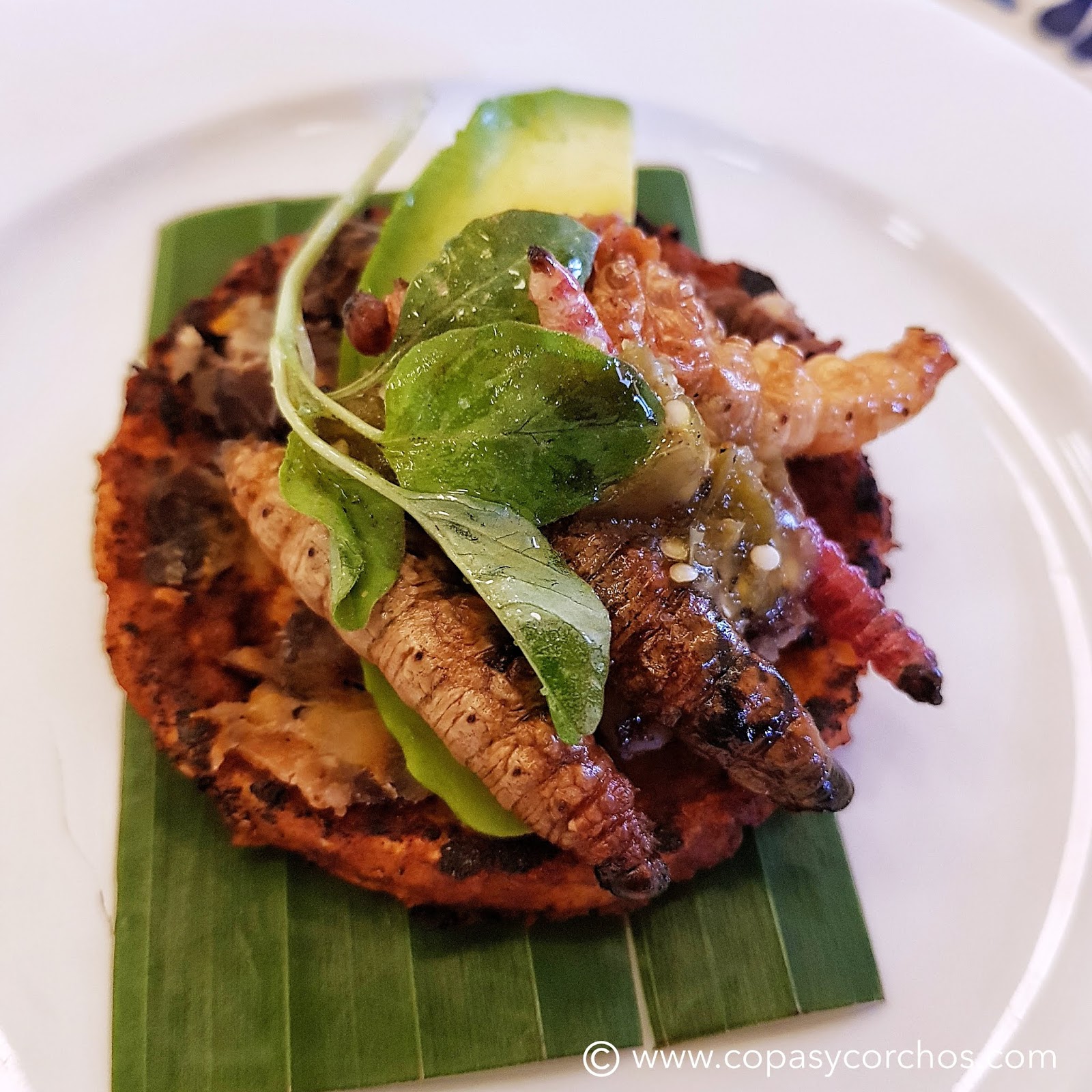 Deliciosos platillos con insectos en El Mural de los Poblanos
