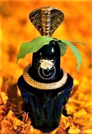 बिल्वपत्र (बेलपत्र)