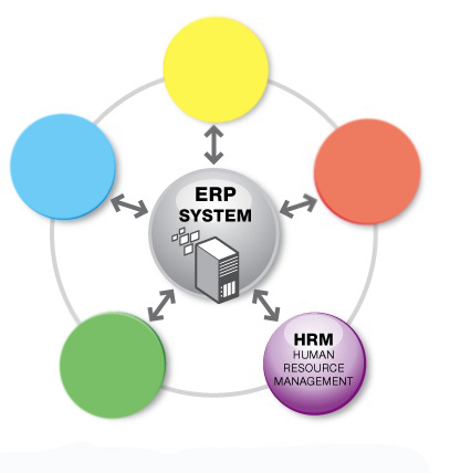HCM - Human Capital Management: HCM como modulo de un ERP