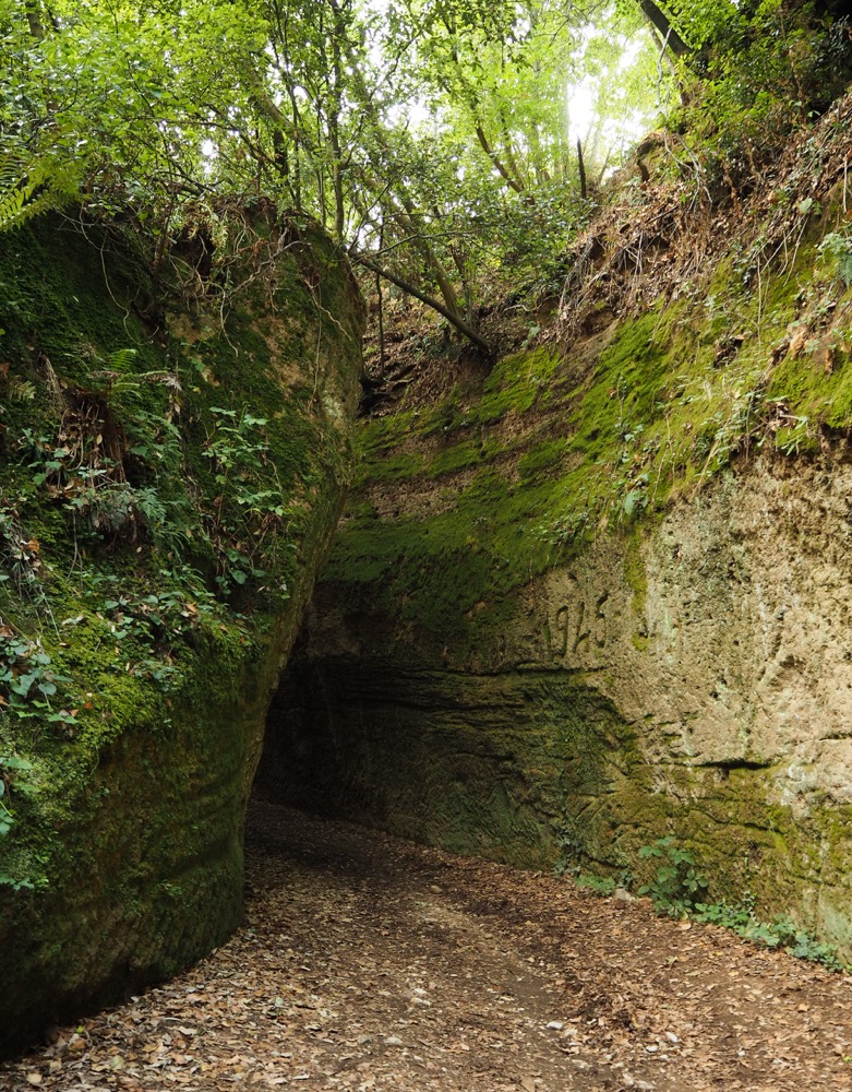 Italy: The Vie Cave of Tuscany- Etruscan Highways