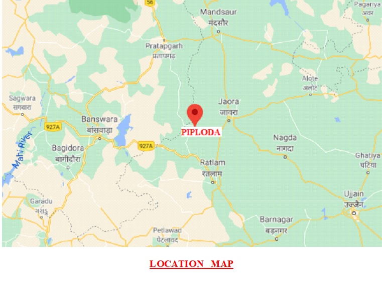 Piploda princely state court fee / revenue stamp