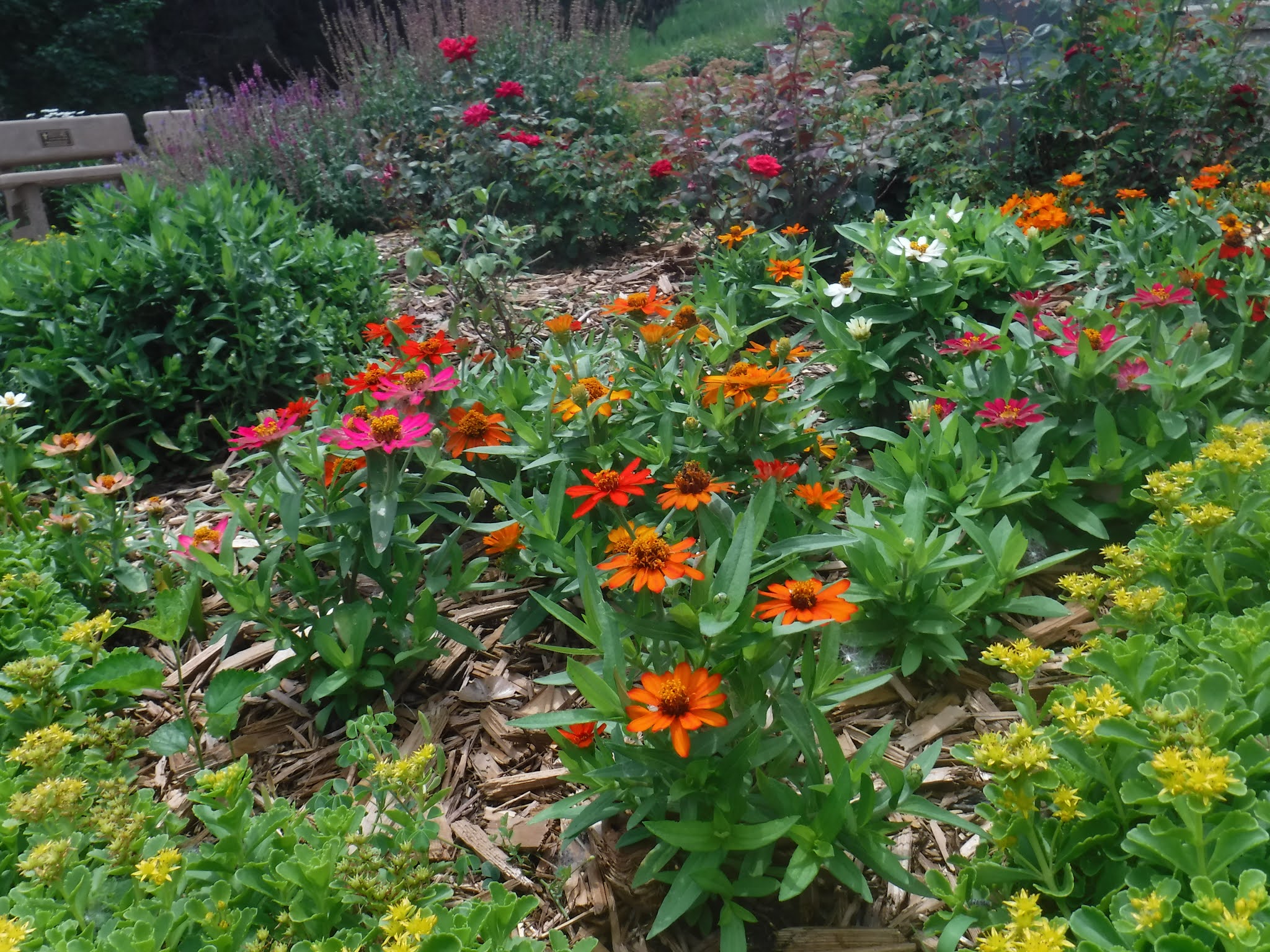 Siouxland Families Explore Trinity Heights