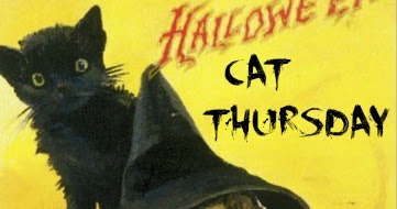 True Book Addict...Books, Cats, and More: #CatThursday - #Halloween # ...