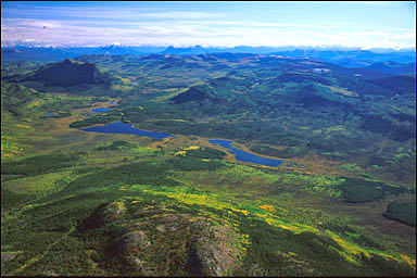 Canada Ecozone: Boreal Shield: FUN FACTS