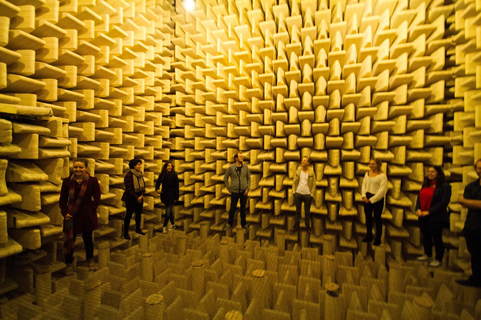 buckylab: VISITING AN ANECHOIC ROOM