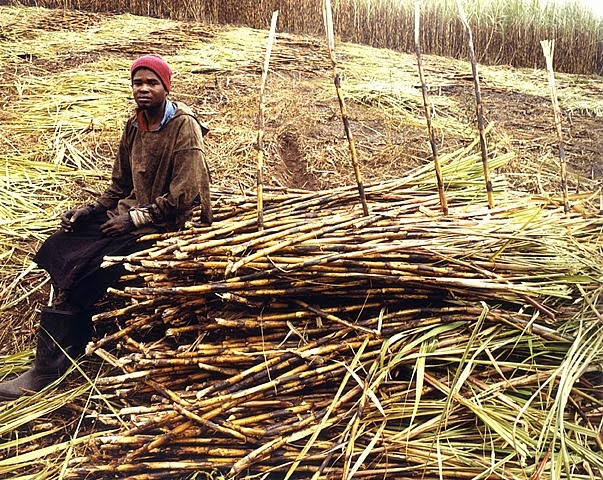 OLTRE IL MURO: ARTE e FOTOGRAFIA: ZWELETHU MTHETHWA | PHOTOGRAPHER