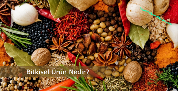 Bitkisel Ürün Nedir? - Bilge Platform - Aklınıza takılan her başlıktan ...