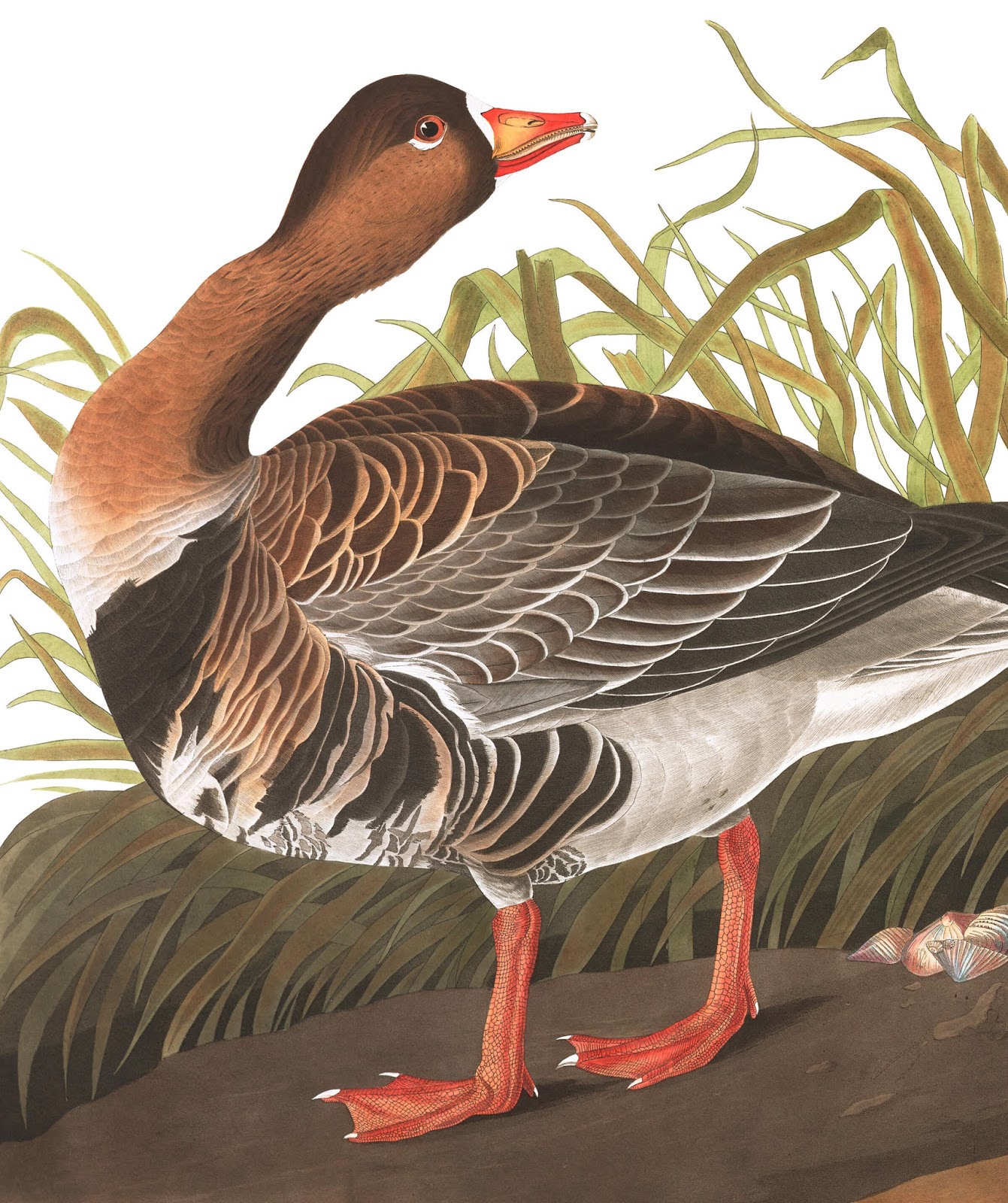 False Machine: Goose-Gold & Goblins