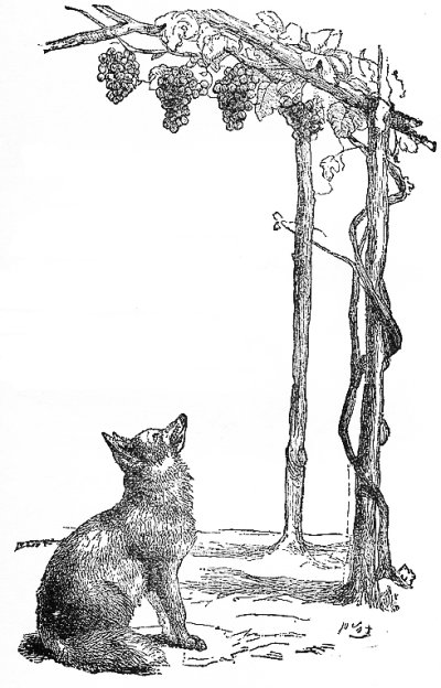 The Fox and The Grapes - Moral Stories For Children