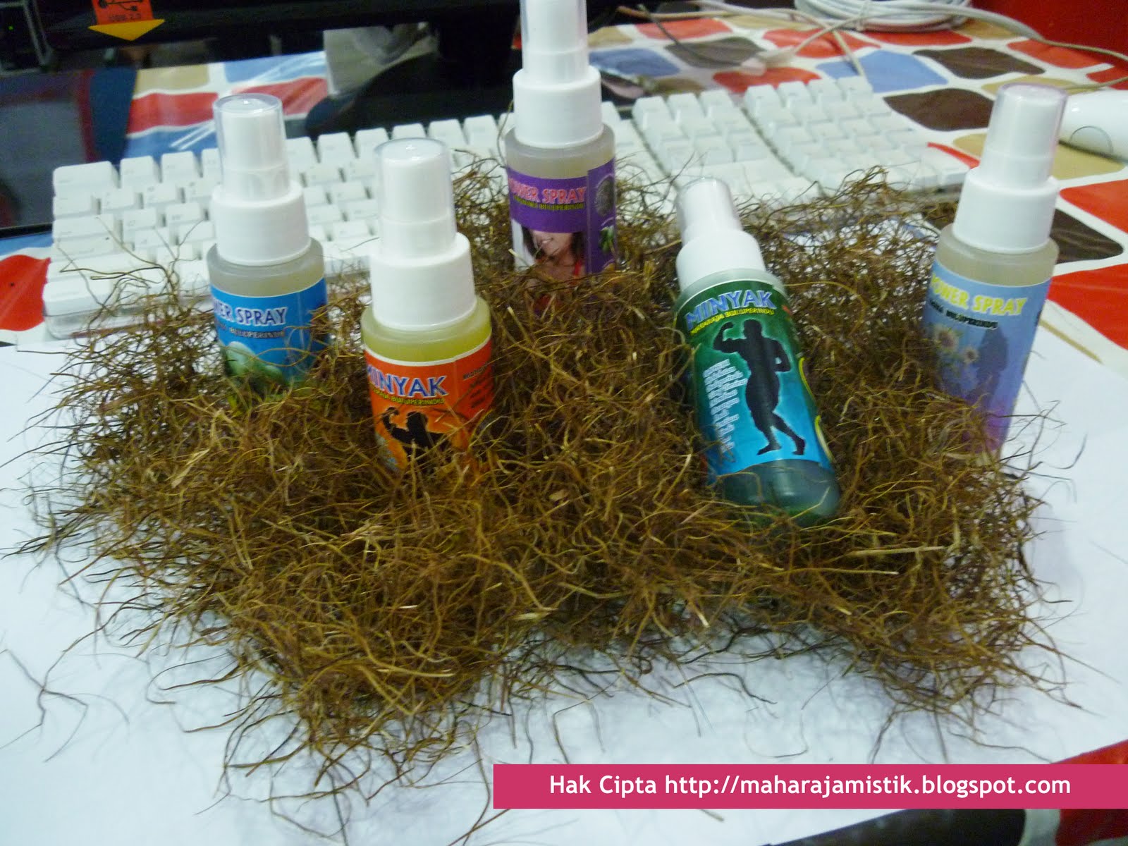 Wafak Dan Azimat Maharaja: BULU PERINDU @ MISAI ALI @ JANGGUT ADAM