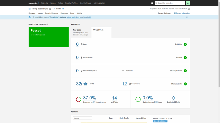 Java: SonarQube Overview Sekmesi - Quality Gate Status Alanı