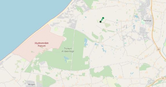 Angus' Bean Goose Blog: Fresh Update on Slamannan- taiga bean goose flock