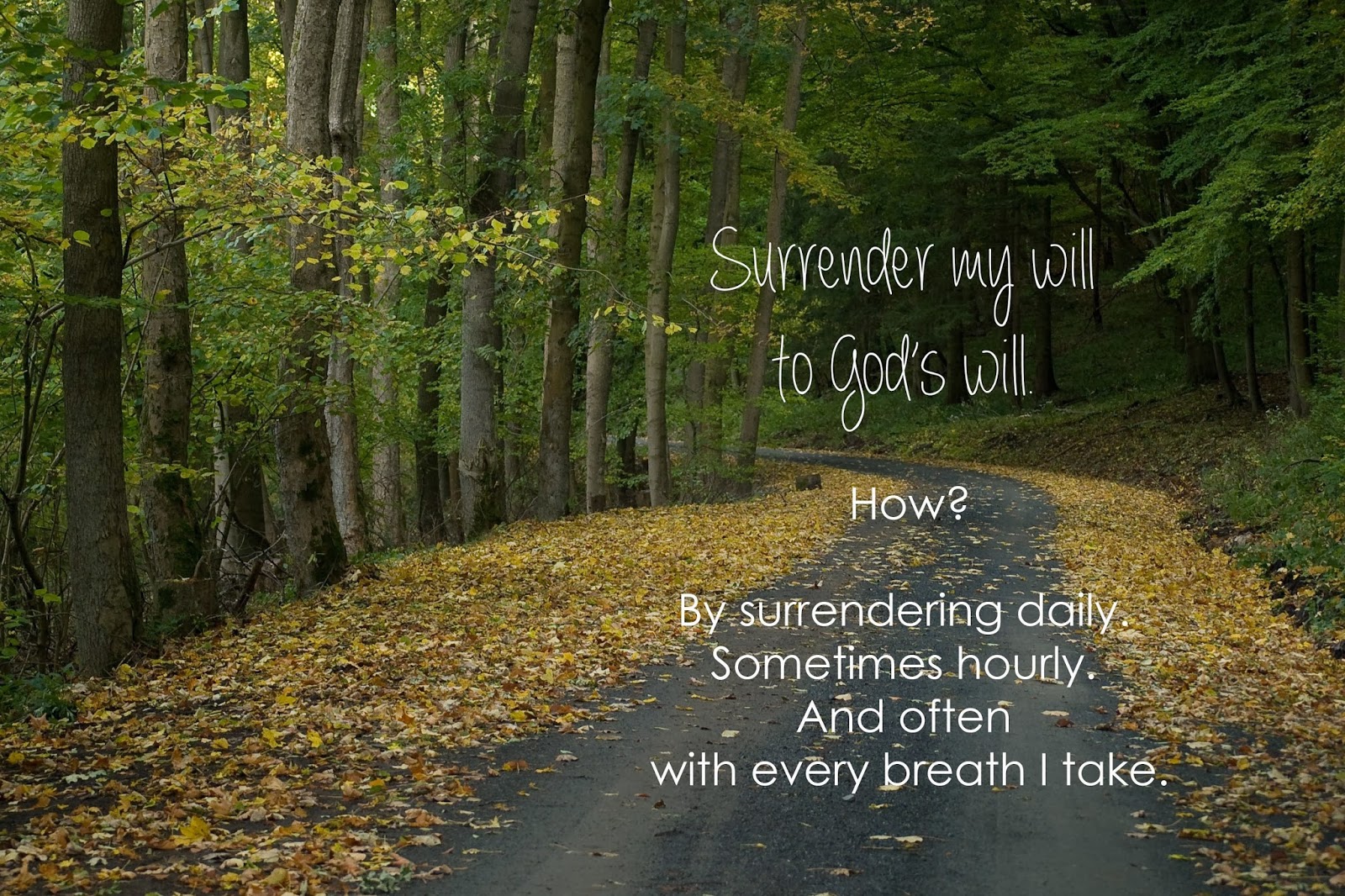 Gods411 : Daily Surrender