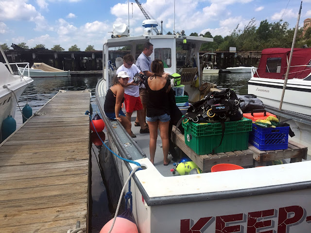 Katie Wanders : Diving for Scallops - Boston, Massachusetts