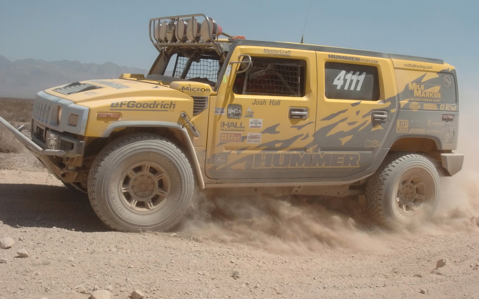 WORLD OF BEAUTY: Hummer