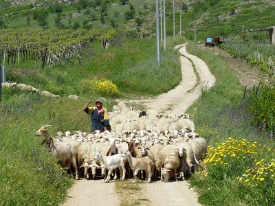 Poesie e racconti da un viaggio fantastico: febbraio 2021