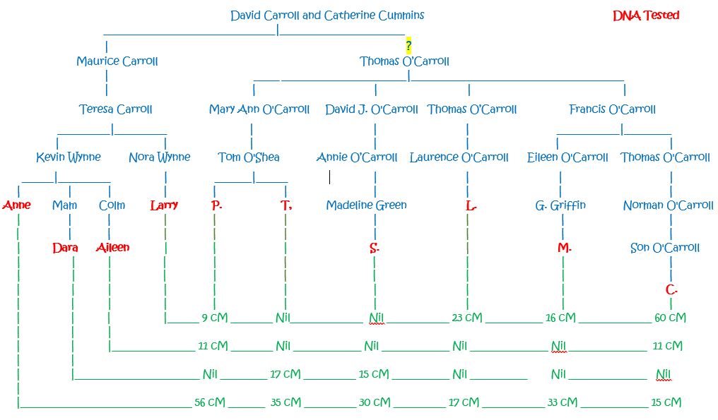 Black Raven Genealogy: DNA cultivates a new branch of the family tree