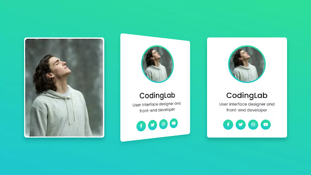 Top 10 Free Stunning HTML & CSS Cards Collection