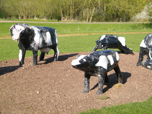 Musings of a Durotrigan: Better as Skeletons? The concrete Cows of ...