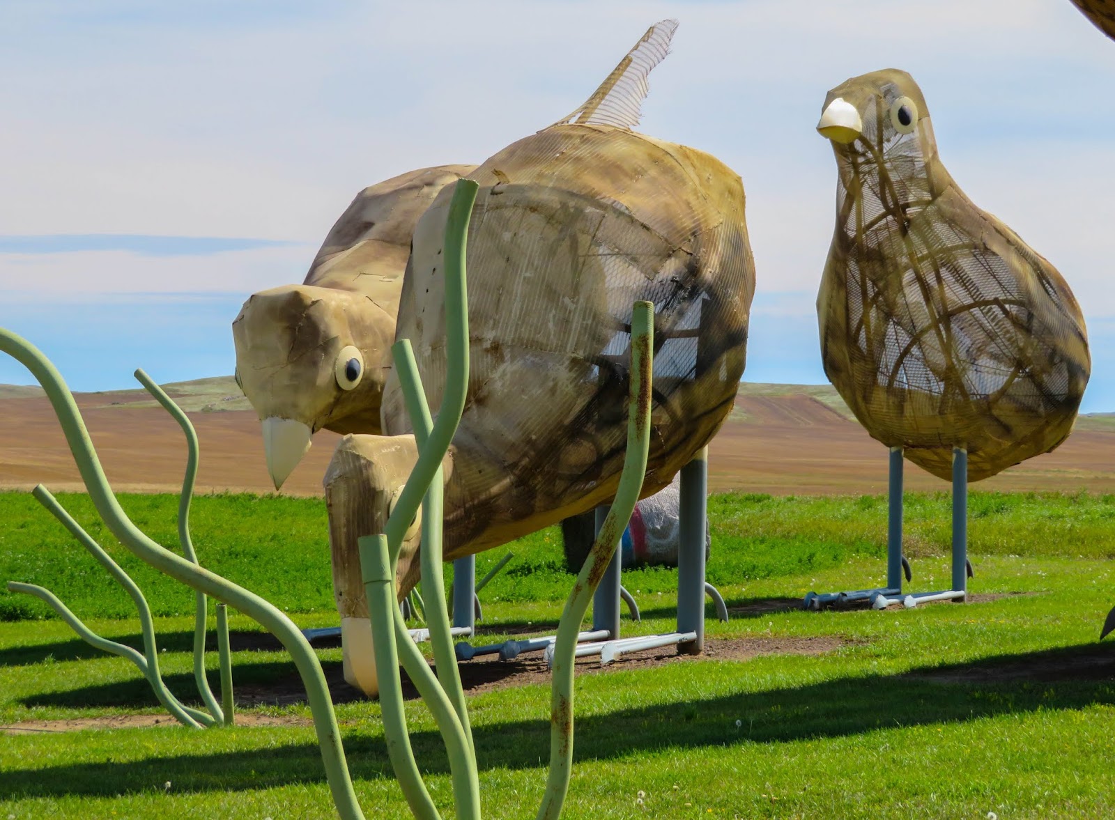 Cannundrums: Enchanted: Highway, Sculptures, Cafe and Castle