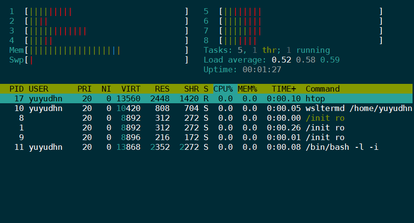 Htop — Memantau Penggunaan Memori, CPU, dan Proses yang Berjalan di ...