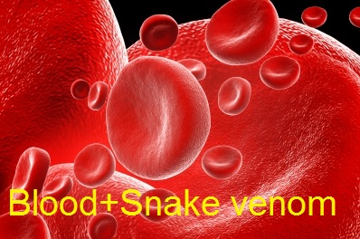 What will happen when we combine a snake venom with a human blood ...