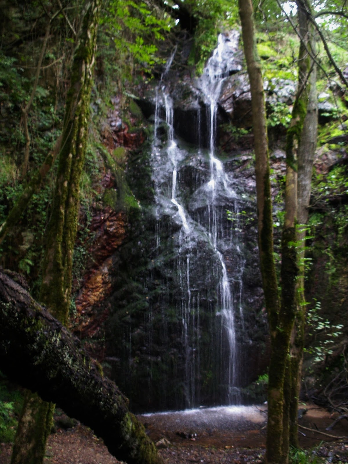 La Magia de Asturias: CASCADA DE GUANGA